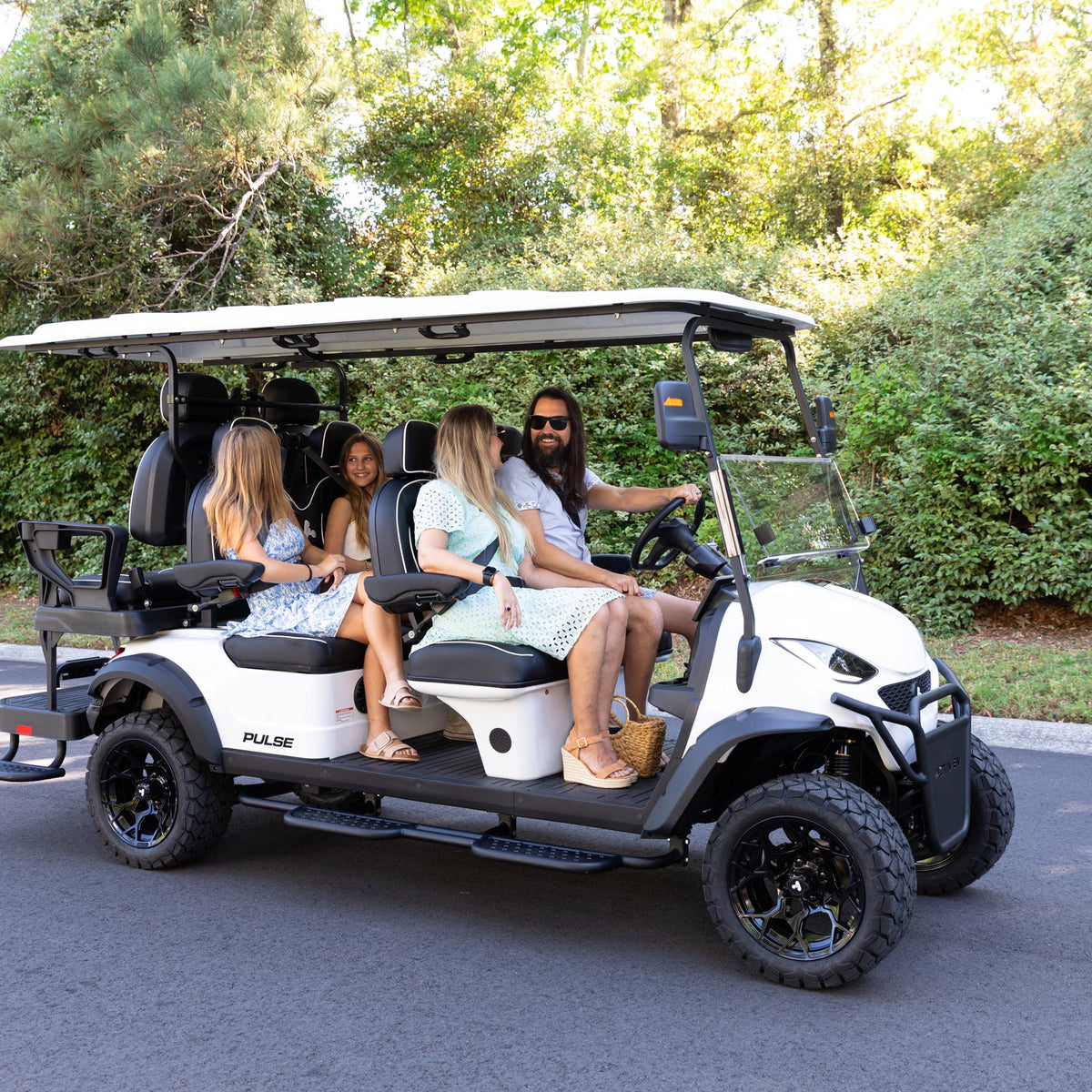 Golf Carts and Low Speed Vehicles – BRAWES Bee Farm LLC