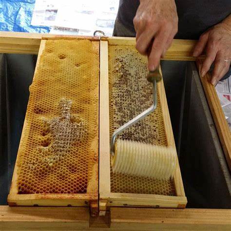 Uncapping Roller | BRAWES Bee Farm LLC